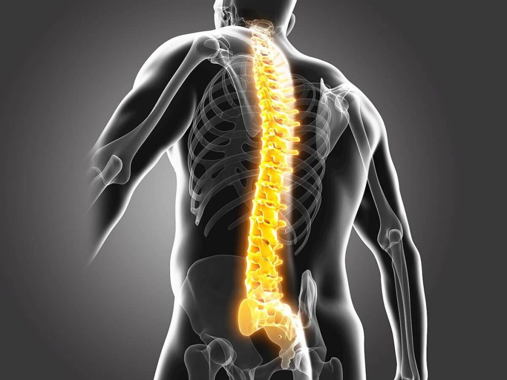 ORIGENE Lage Rug-therapie - Schouwenburg Fysiotherapie